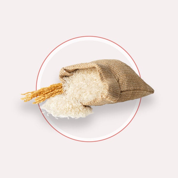 Rice | Riz | Marché Bazaar - Online Shop